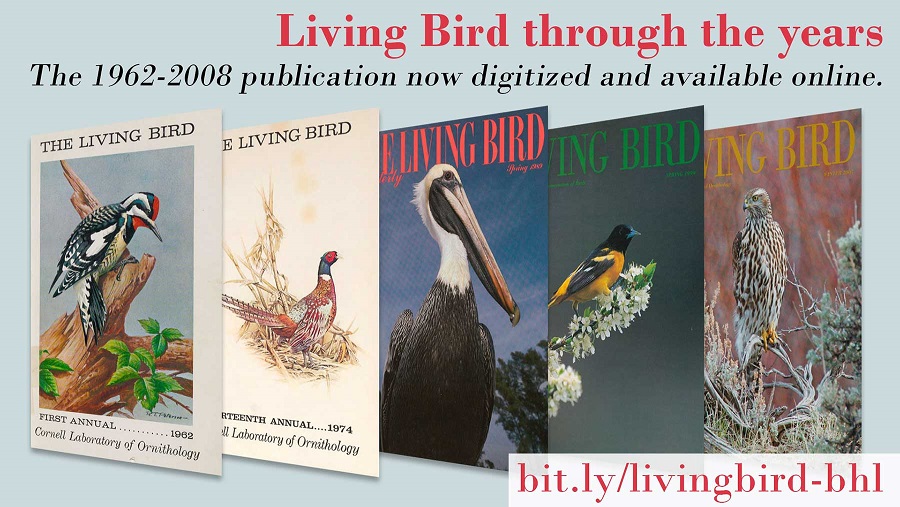 “Living Bird” Archive Now Online – Mann Library