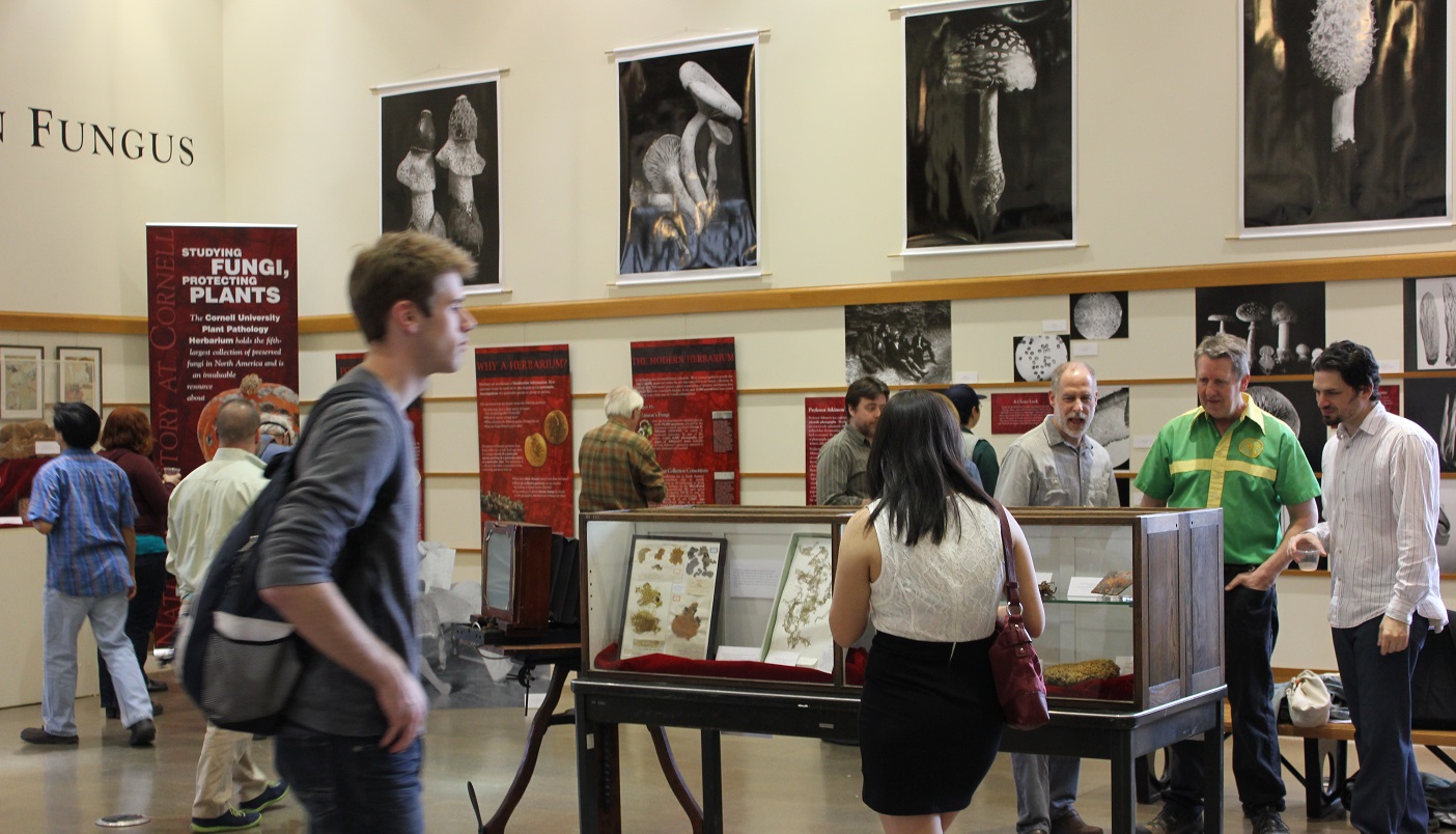 Exhibit & Outreach Spaces – Mann Library