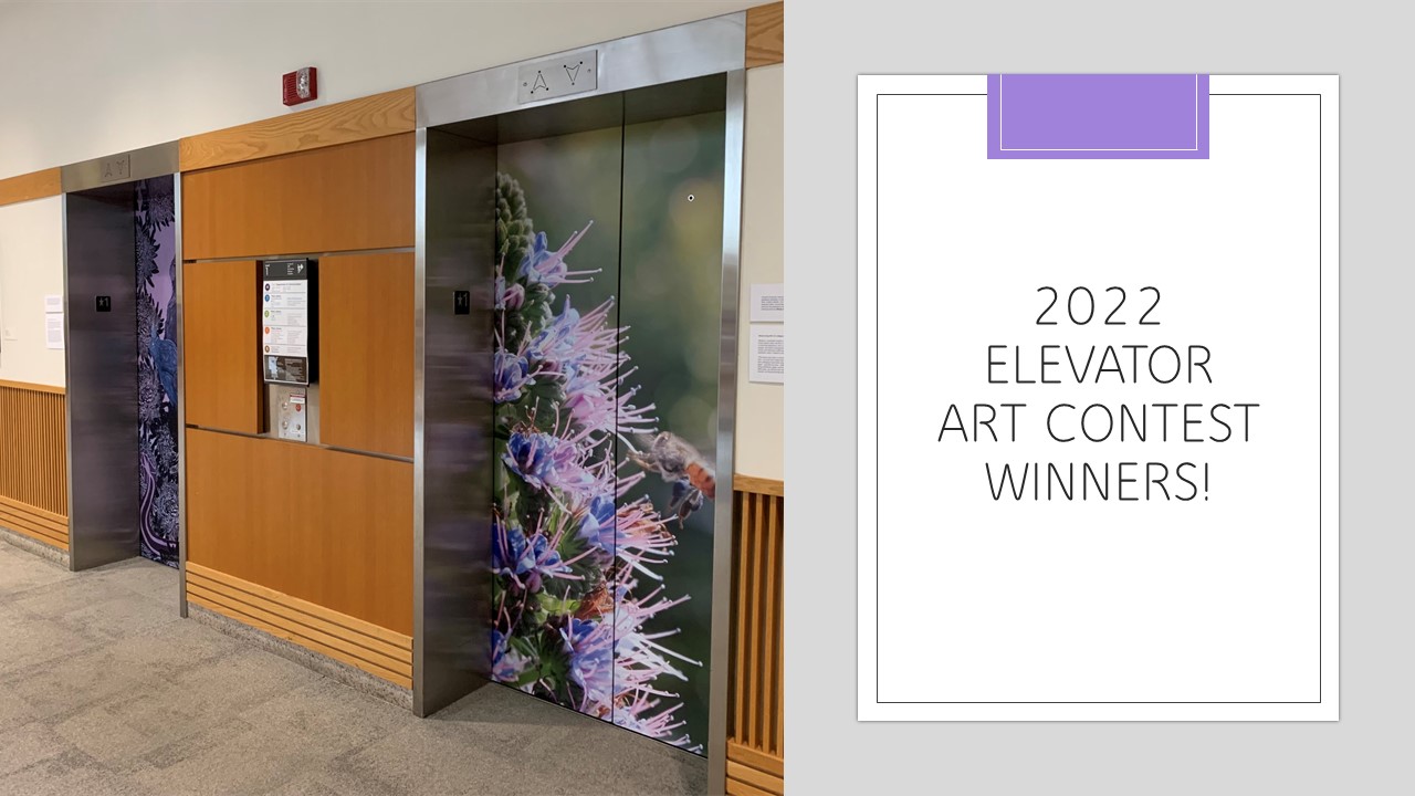 Congratulations to our 2022 Elevator Art Contest Winners! – Mann Library