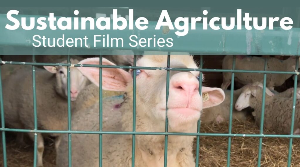 Sustainable Agriculture Student Film Series – Mann Library