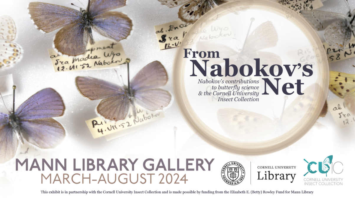 Events celebrate Nabokov as butterfly scientist – Mann Library