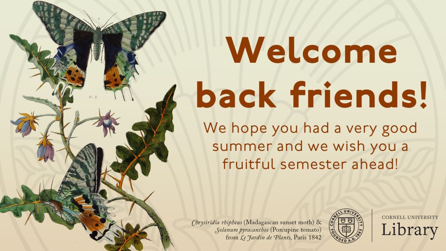 Welcome back, friends! – Mann Library